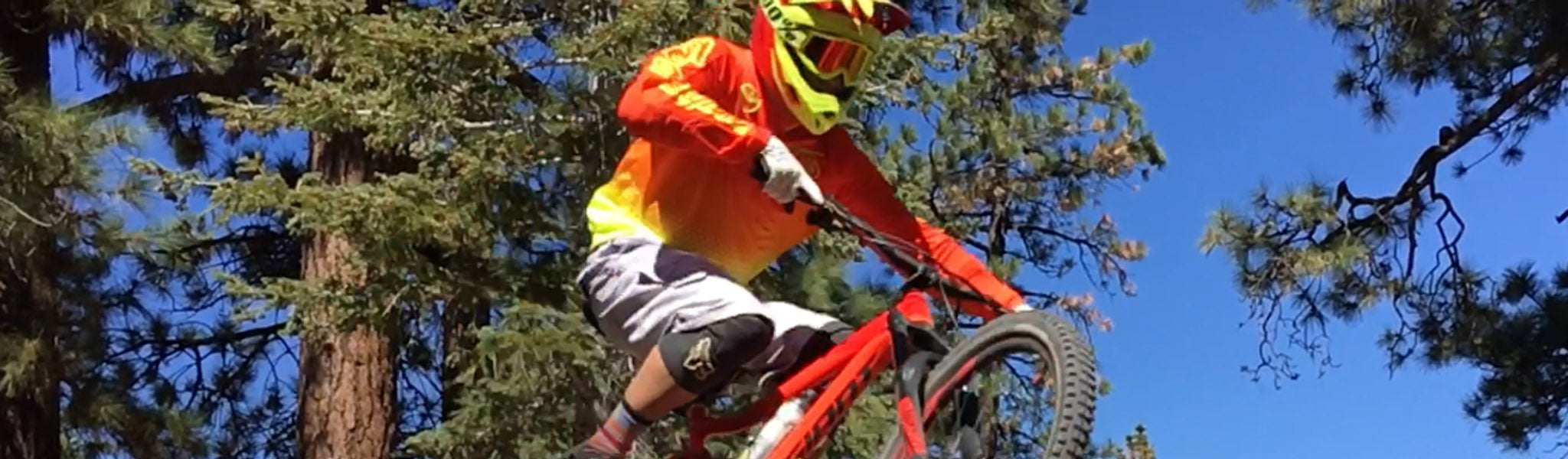 Meet Robb, Our Master Bikeologist – Bicycle Warehouse