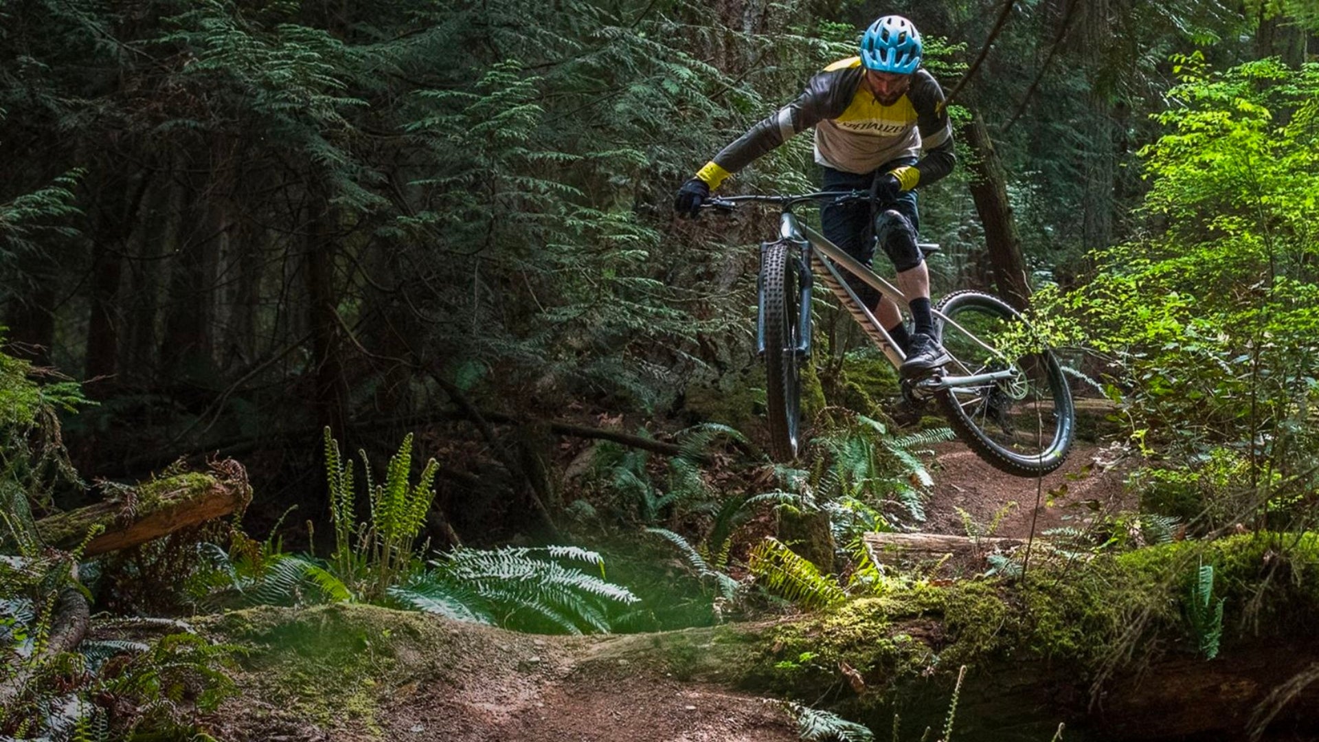 The Specialized Fuse Hardtail Mountain Bike – Bicycle Warehouse