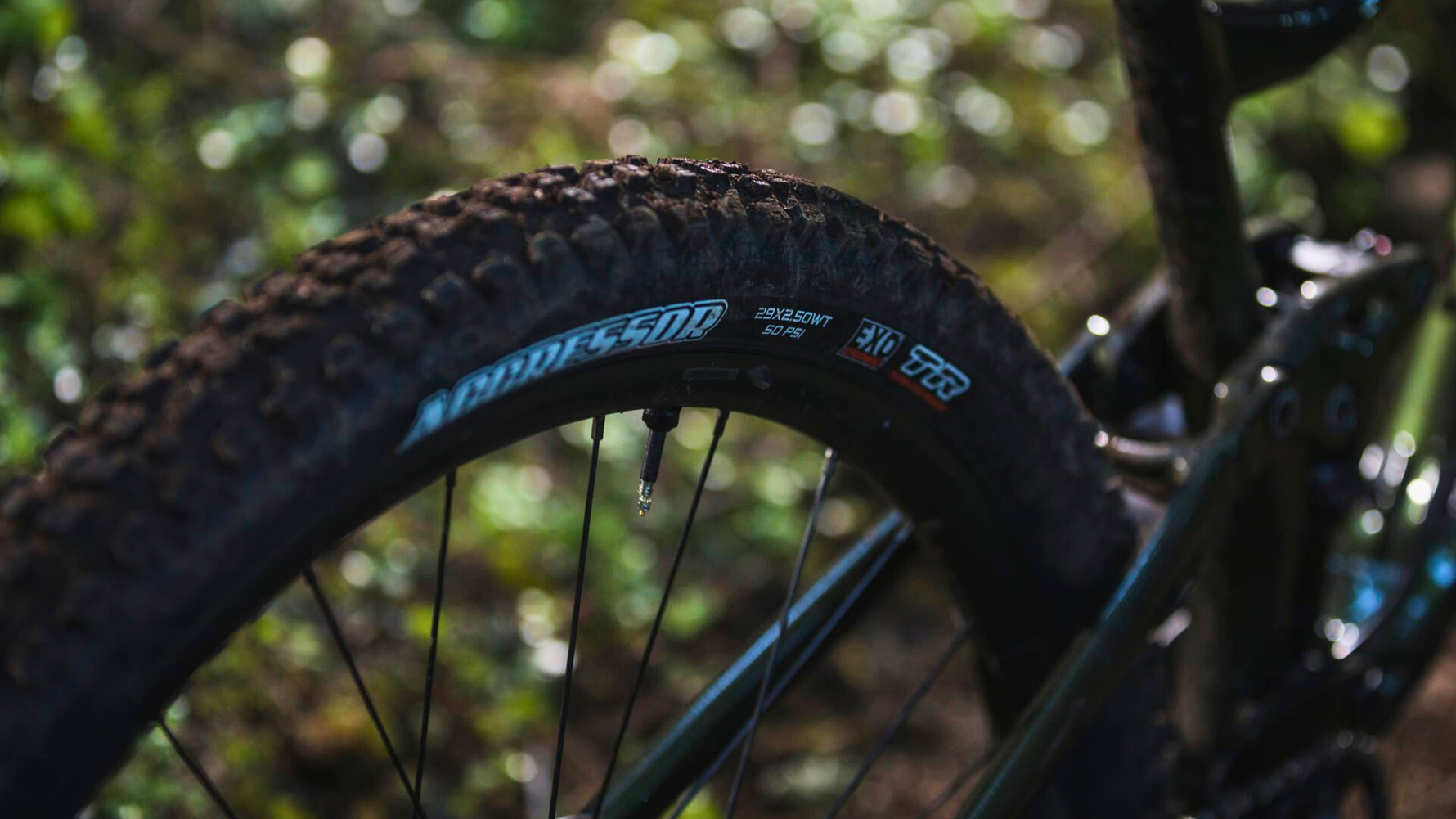 Giant Tubeless Road and Mountain Bike Tire System – Bicycle Warehouse