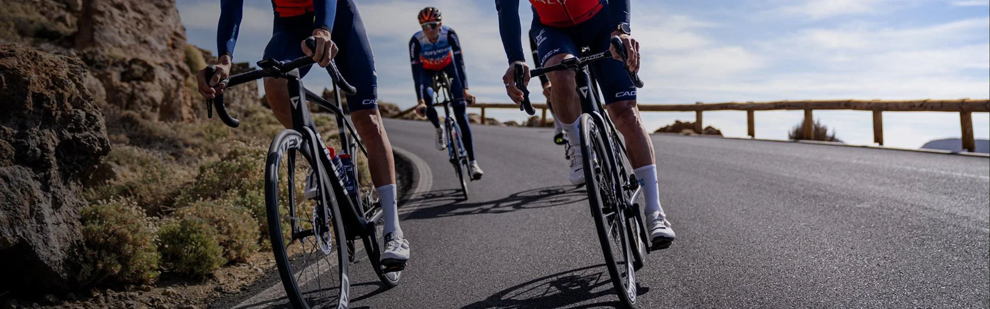 Top Road Race Bikes - the Best in Speed & Precision – Bicycle Warehouse