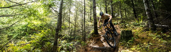 WTB Mountain Bike Tires & Components | Unleash Your Trail Potential ...
