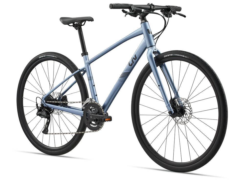 Liv Alight Disc 2 Women's Hybrid Bike – Bicycle Warehouse